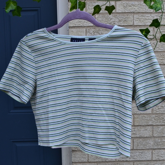 Liz Claiborne | Tops | Crazy Horse Green Striped Crop Top Size M | Poshmark
